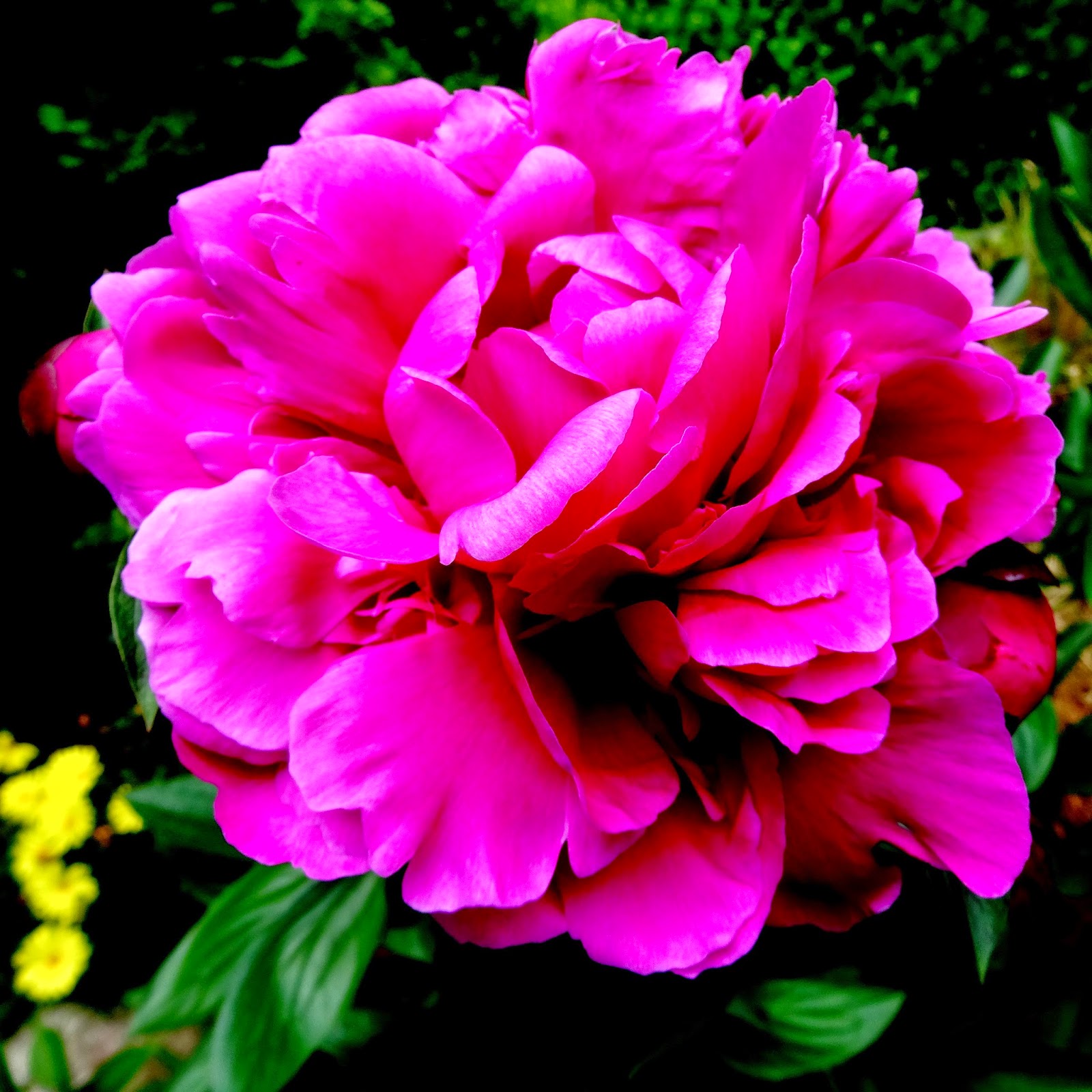 OBSERVATIONS WORKSHOP: PRICELESS FAMILY HEIRLOOM