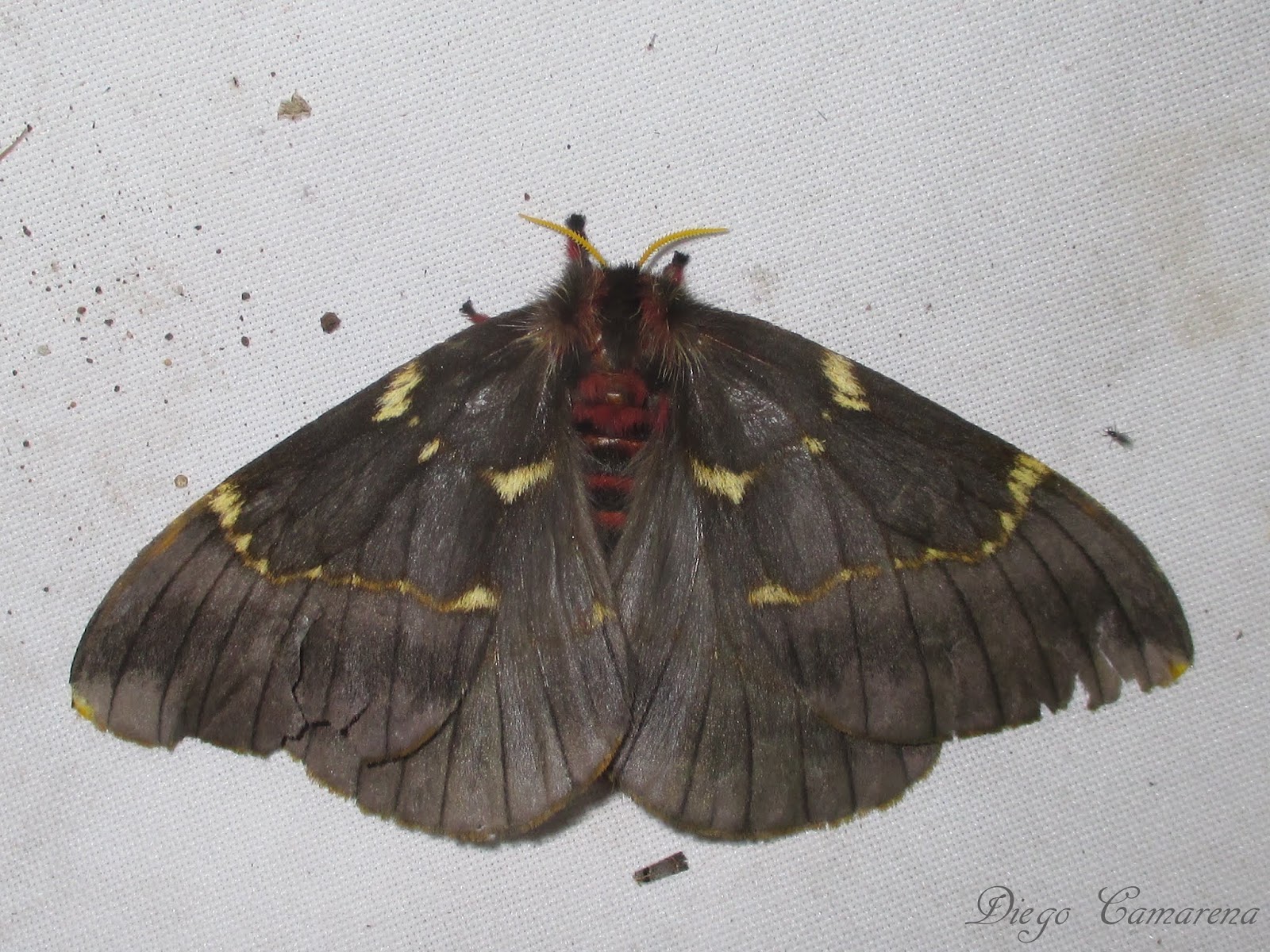 Fotografías de naturaleza