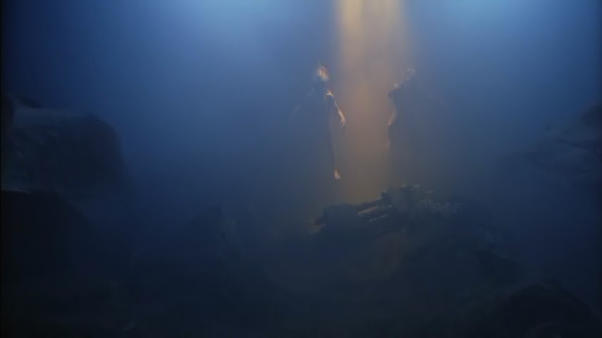 Monster Crap: Monster Crap Inductee: Raging Sharks (2005)