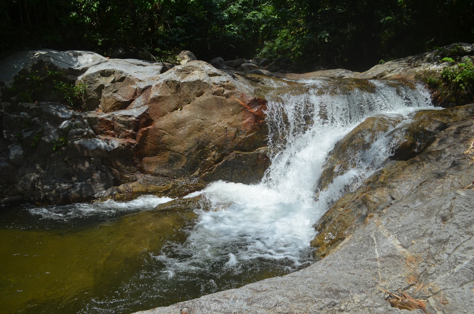 Wildlife of S. E. Asia and S. America. A Photo Journal by Francis ...