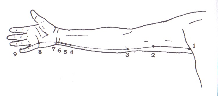 SHIATSU-PASSION Françoise Couteron : Le méridien d'acupuncture "Coeur"