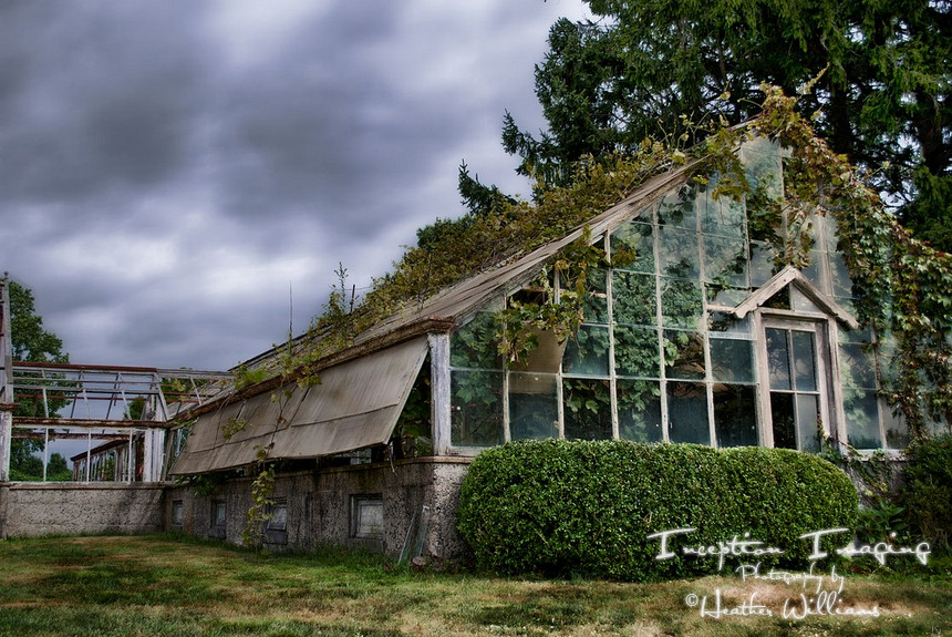 Deformutilation: Abandoned Greenhouses