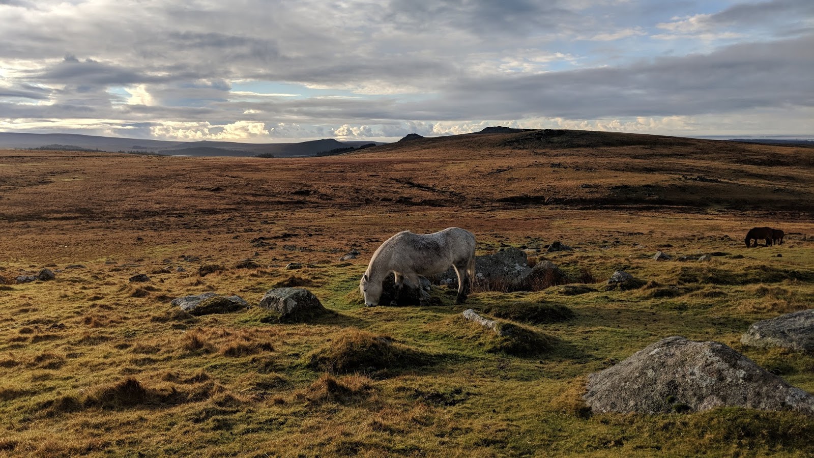 Max Piper - Tor Bagger: Dartmoor: The Tors on Walkhampton Common (Revisit)
