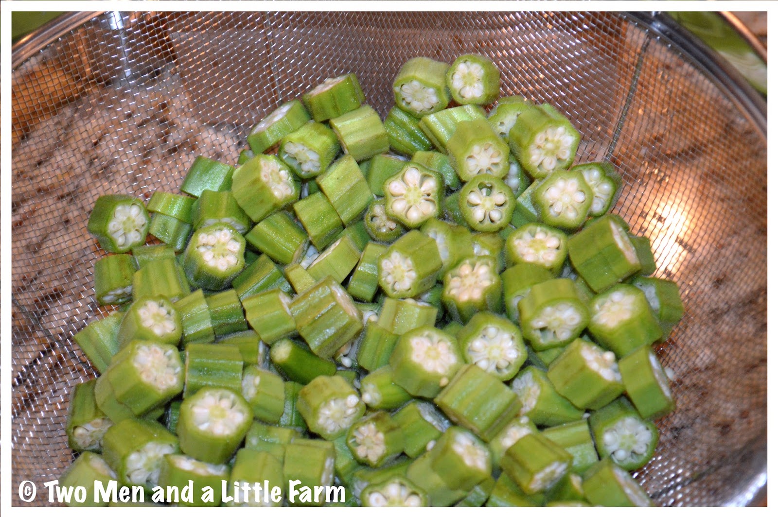 Two Men and a Little Farm: SOUTHERN FRIED OKRA RECIPE