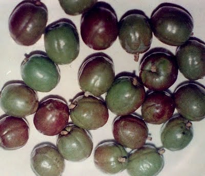 Living with Nature - School on Blog by Dr. Abercio V. Rotor: Monsoon ...