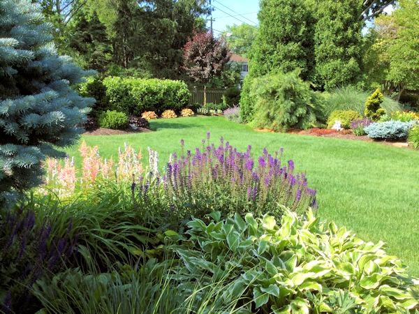 A GUIDE TO NORTHEASTERN GARDENING: Garden Bloggers' Bloom Day & Foliage ...