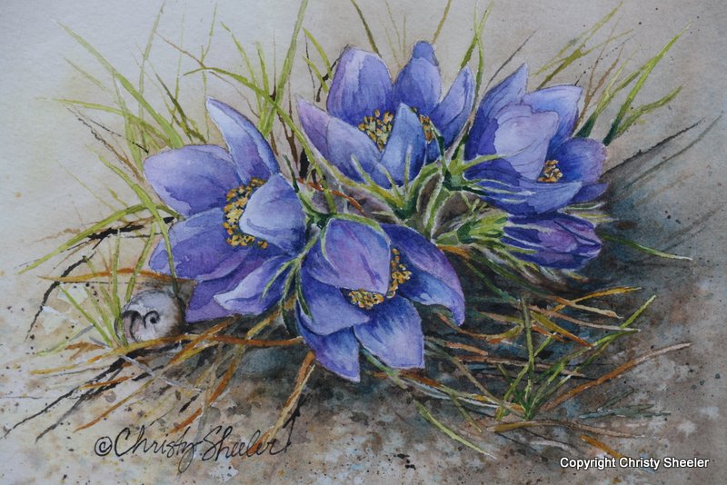 She Must Make Art : Painting the Crocus