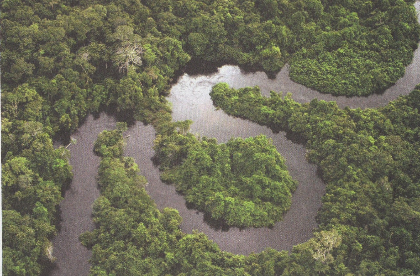 GEOGRAFÍA DE AMÉRICA : ESTUDIO DE CASO - LA SELVA AMAZÓNICA