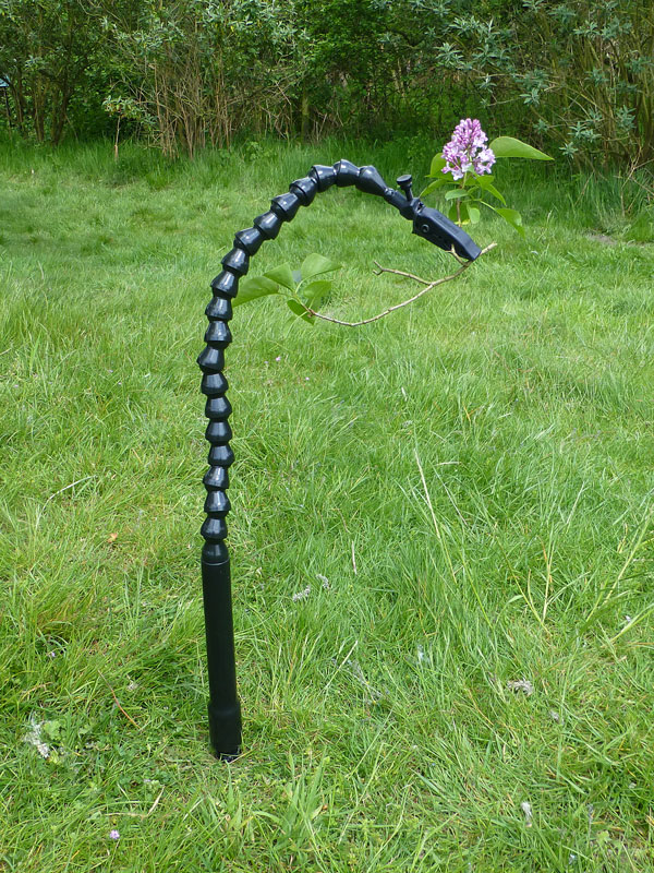 The NEW Wimberley Plamp 2, Plamp G and Plamp Extension, Chatty video ...