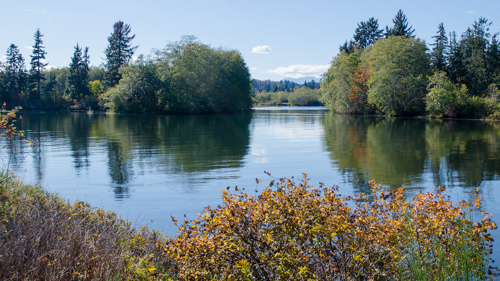 Wanderin' Weeta (With Waterfowl and Weeds): Along the Myrt Thompson trail