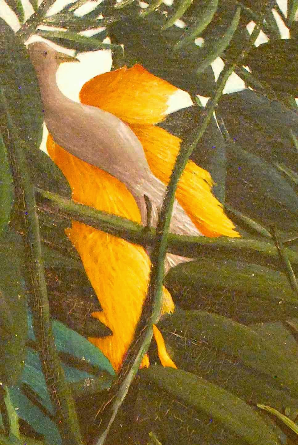 ARTS&FOOD®™: Closely looking at Henri Rousseau's "The Dream" + Ted ...