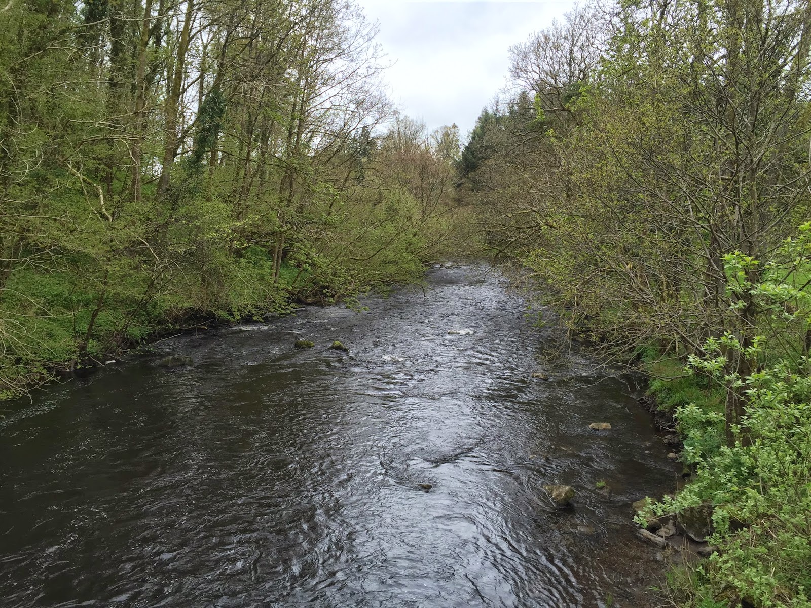 Dalrymple: A Village in Transition: A Scenic Walk Around 'The Netherton'