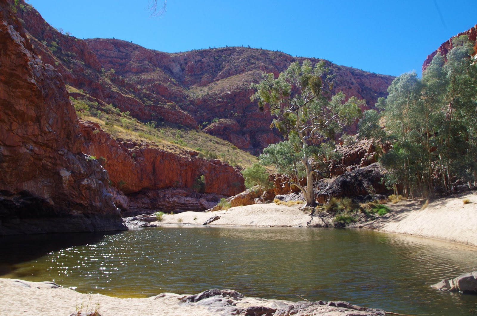 Hart Family: World Tour of Australia: ....More Alice Springs