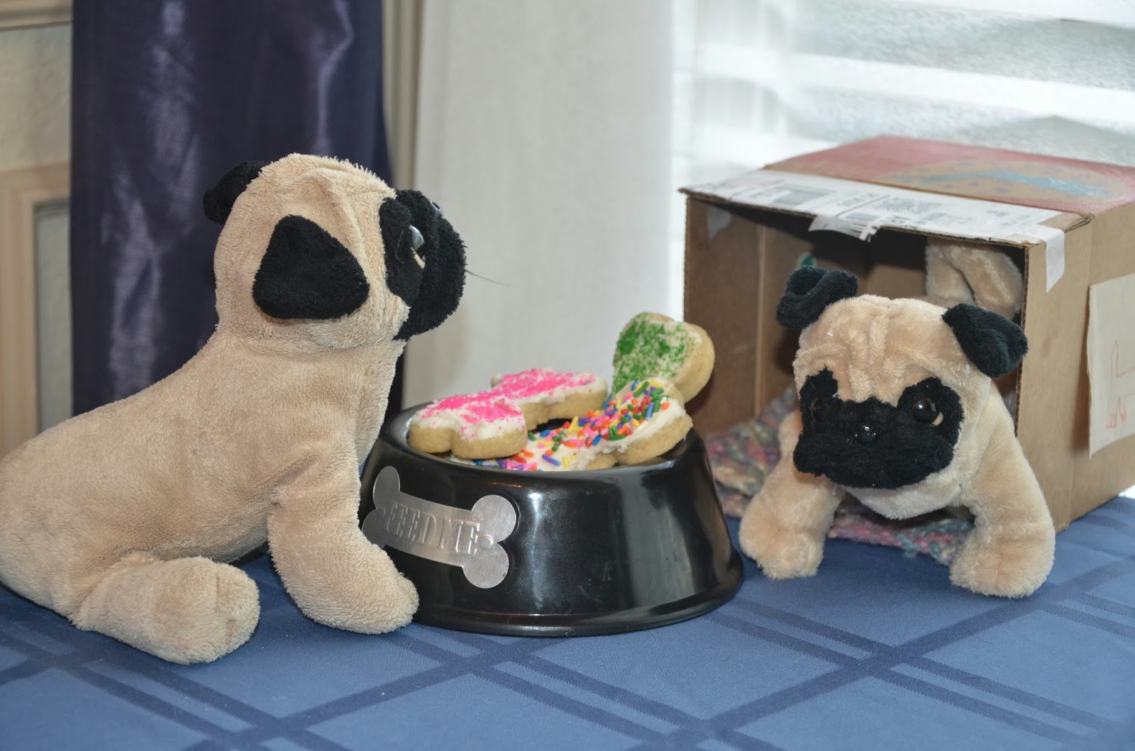 Family, Food, and Fun: Pug Cake and Birthday Party