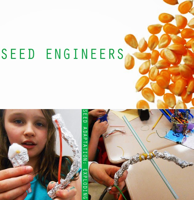 E is for Explore!: Seed Engineers