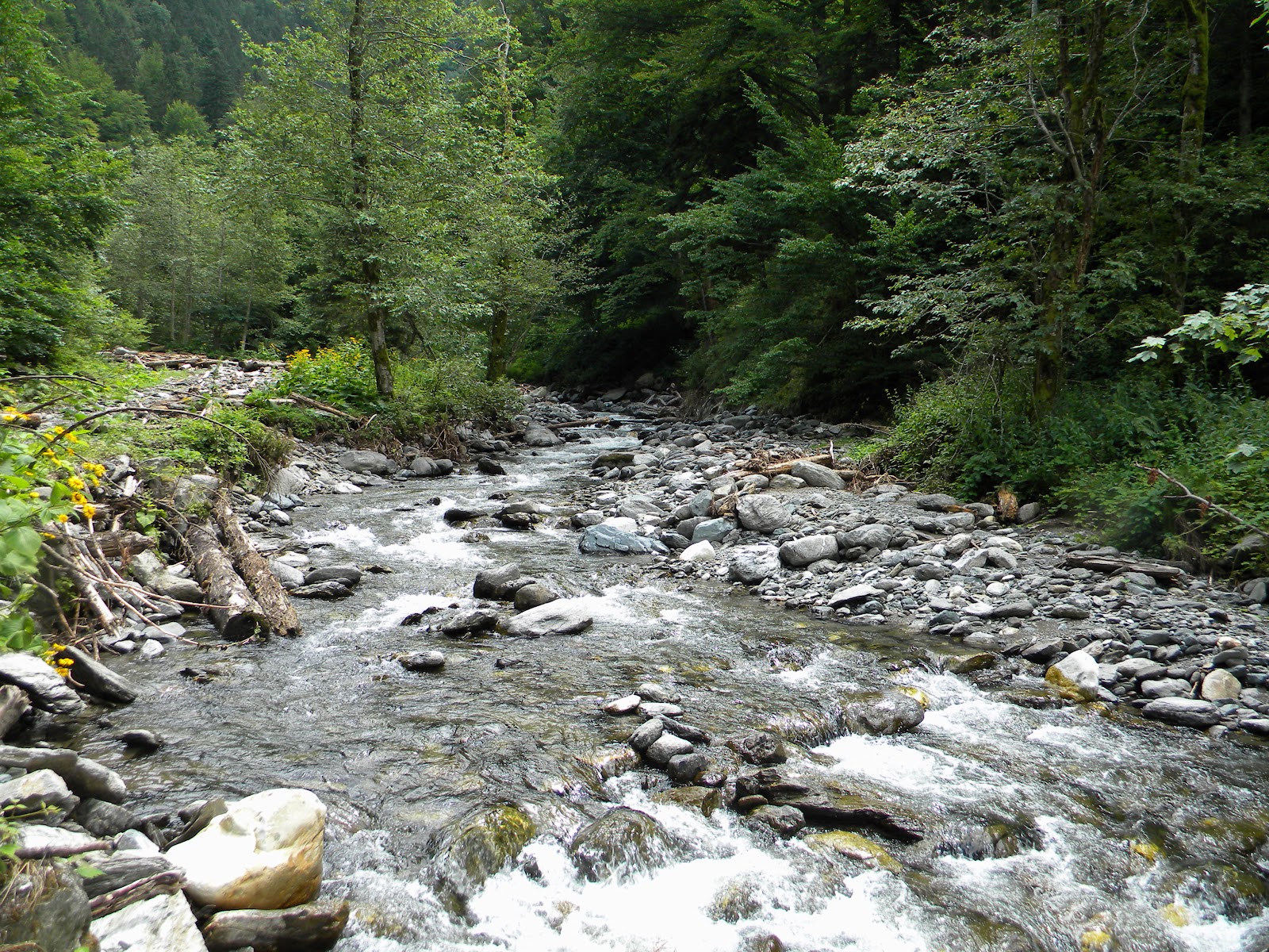 lumea in albastru: Valea Avrigului
