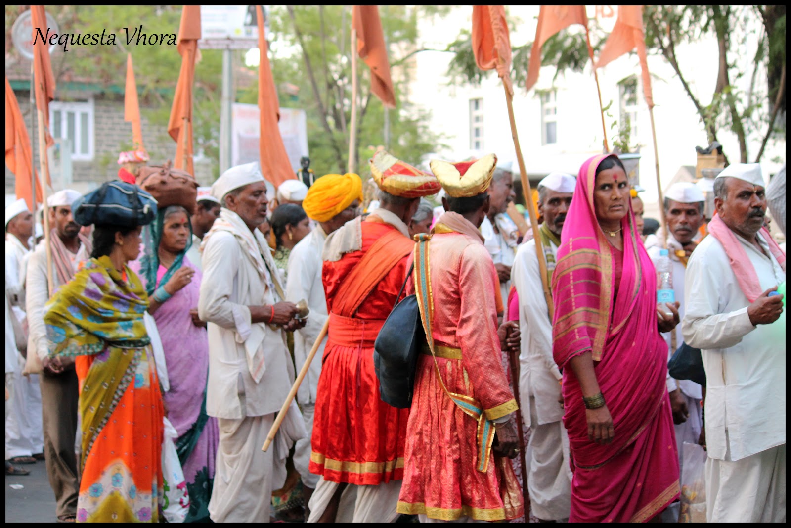 Wondering Wanderer: Waari: Facts and Fotos