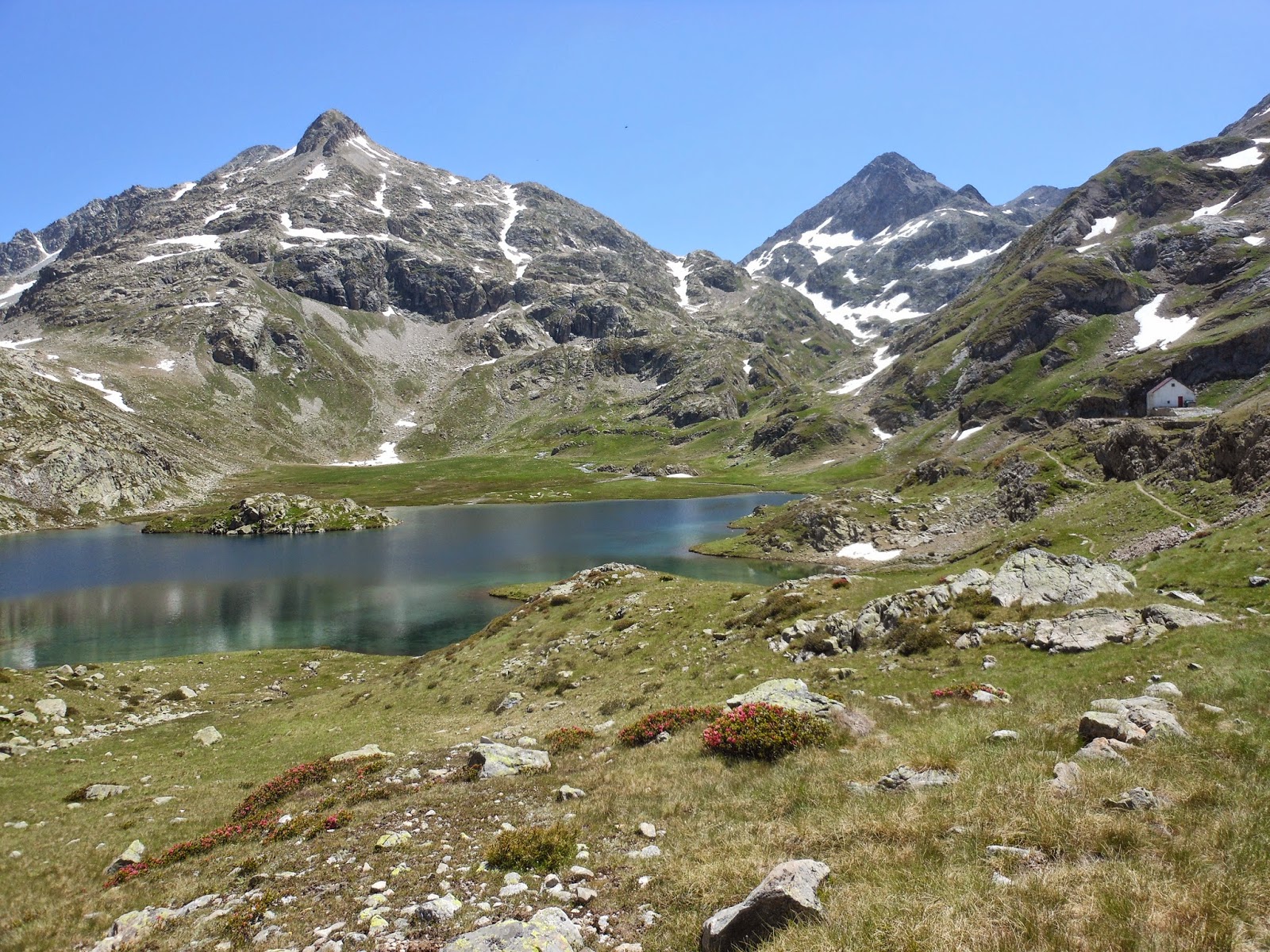 .masalladelreinodelosbuitres: LA GRAN FACHA