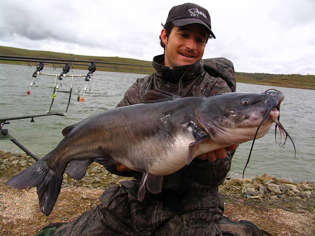 pasion por la pesca de rio laguna i mar: 2016