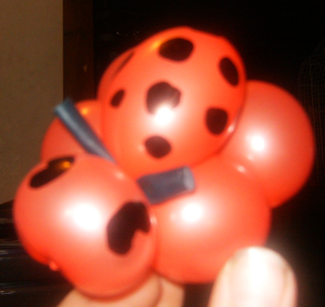 Inside The Inner Halls of Patrick's Mind: Turtle and ladybug balloon