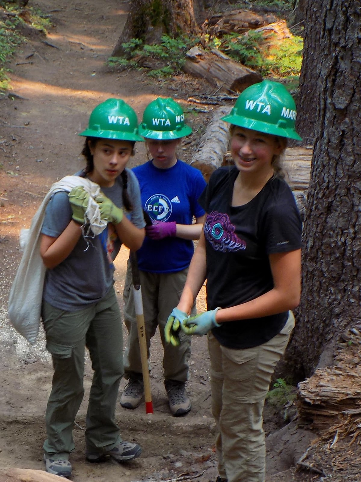 Mount Rainier Volunteers: Washington Trails Association Continues to ...