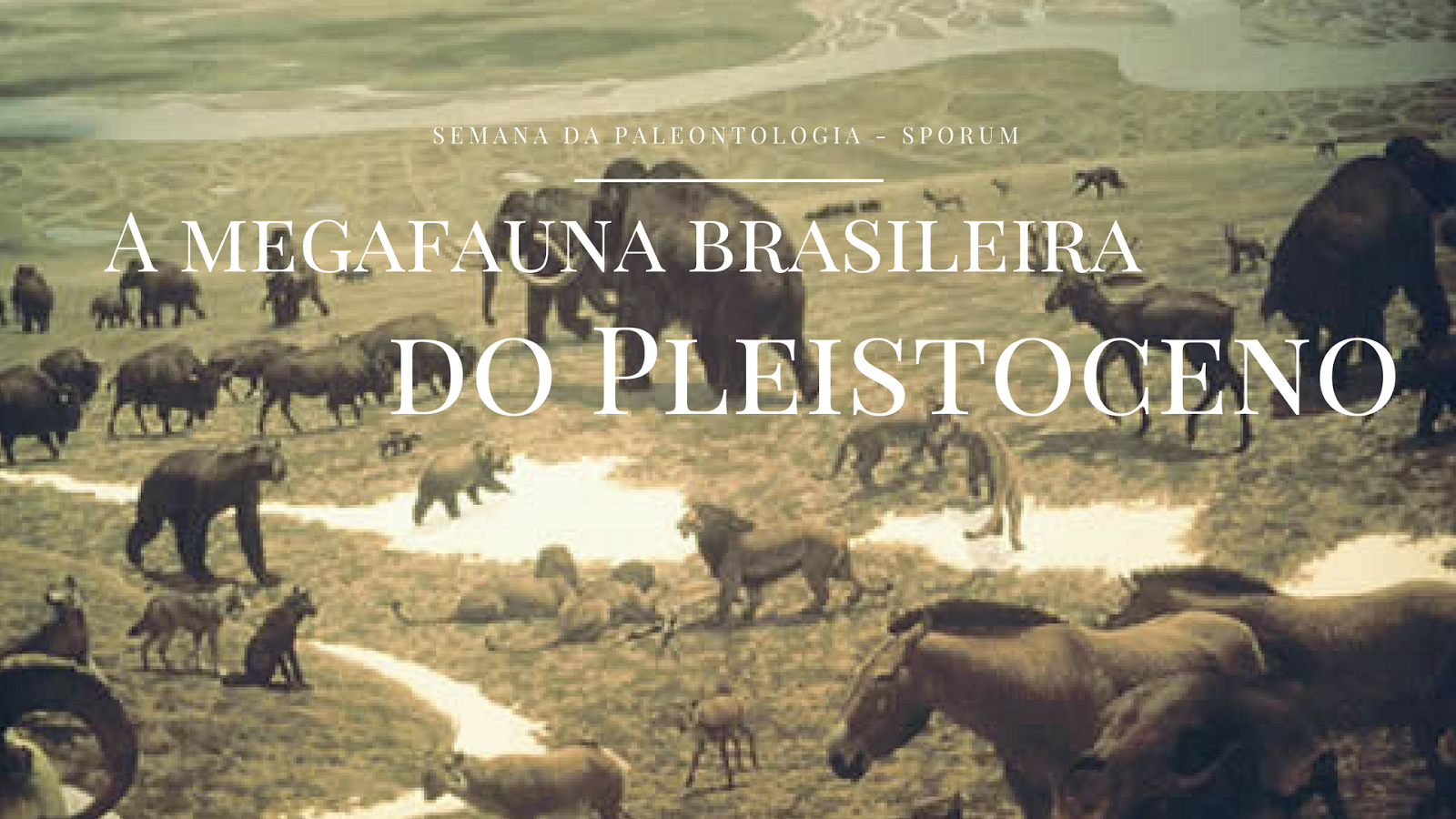 Animal Da Megafauna Brasileira - BRAINCP