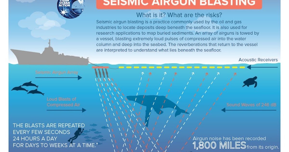Seismic Surveys: Offshore Oil and Gas Exploration, Airgun Blasting and ...
