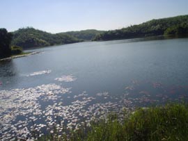 All about bangladesh,history of Bangladesh,places of Bangladesh,beauty ...