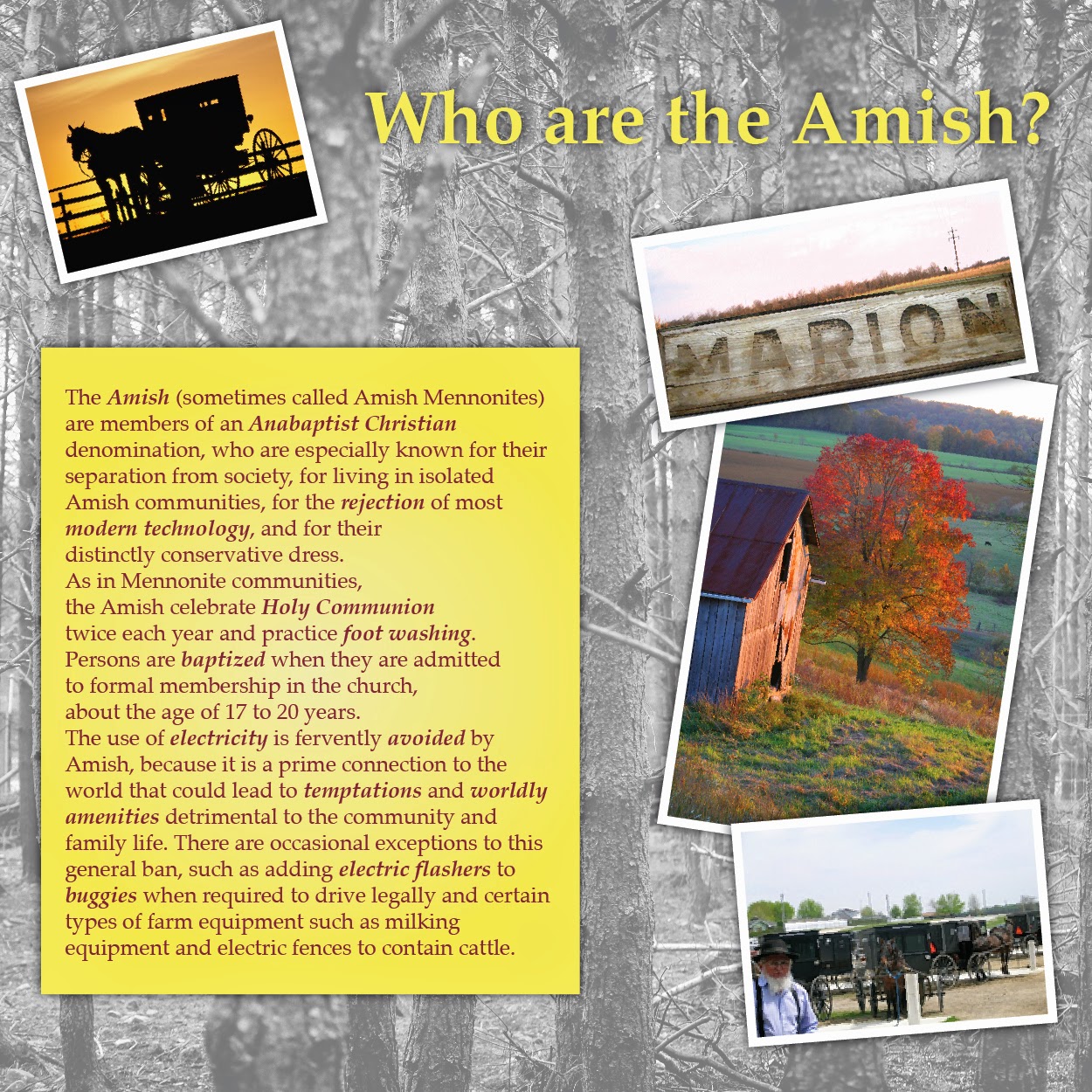 Discover Marion KY: Who Are The Amish?