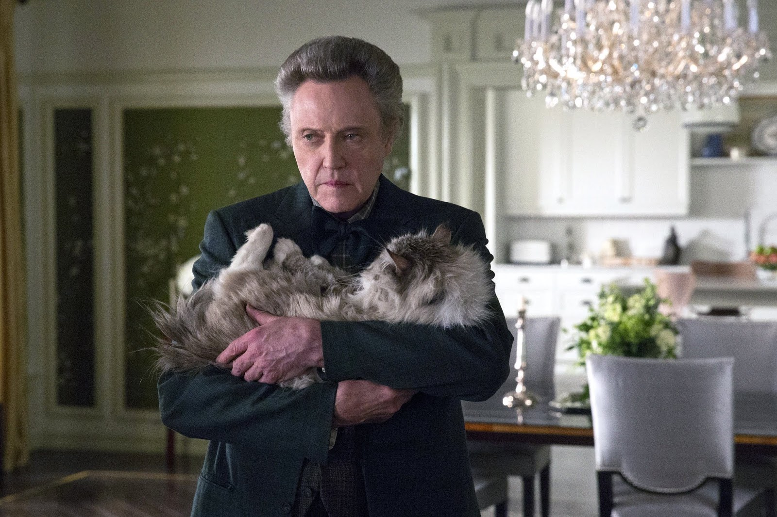 The Glass Character: Christopher Walken with cats