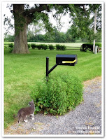 Our Little Acre: I Love a Tattle-Tail! (A Review)