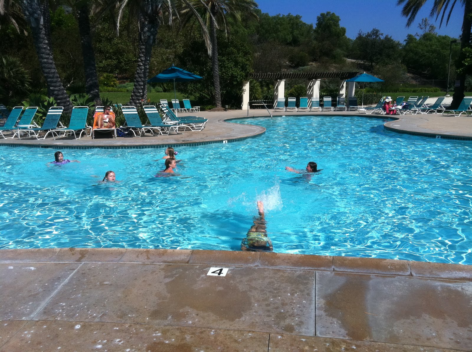 The Chronicles of The Feaseys: Girl Scout pool party