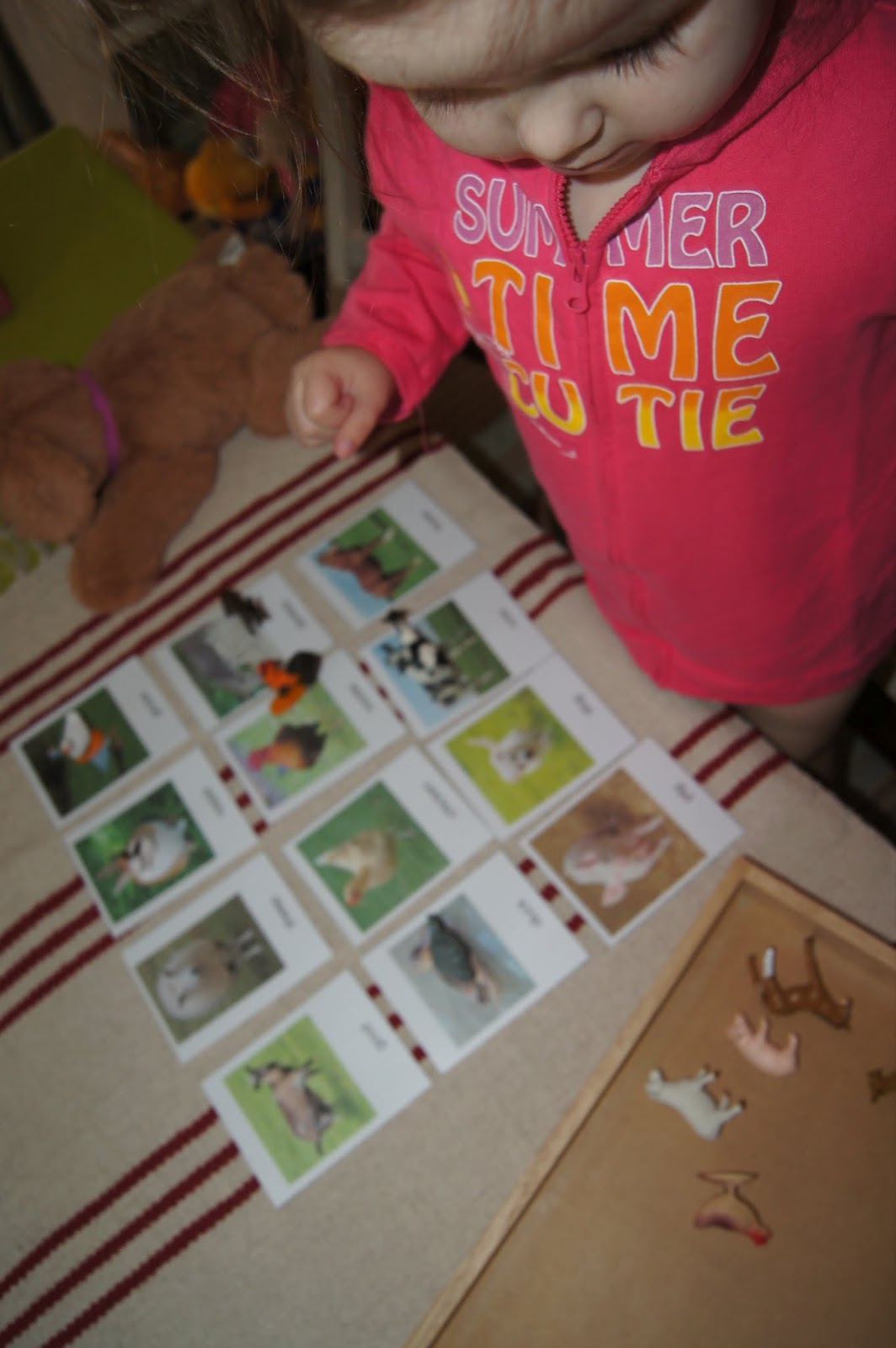 Animal Family Matching, Montessori Language At Home - "Making ...