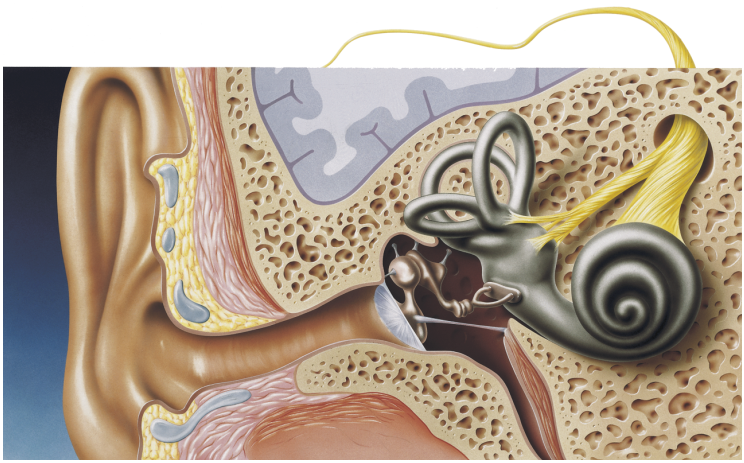webdoc-hno: April 2012