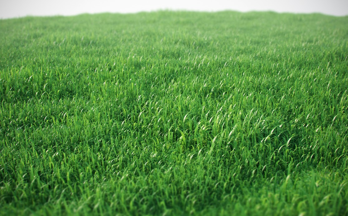 Free Proxy Grass Scene by Josef Bsharah | C4D Vray Source