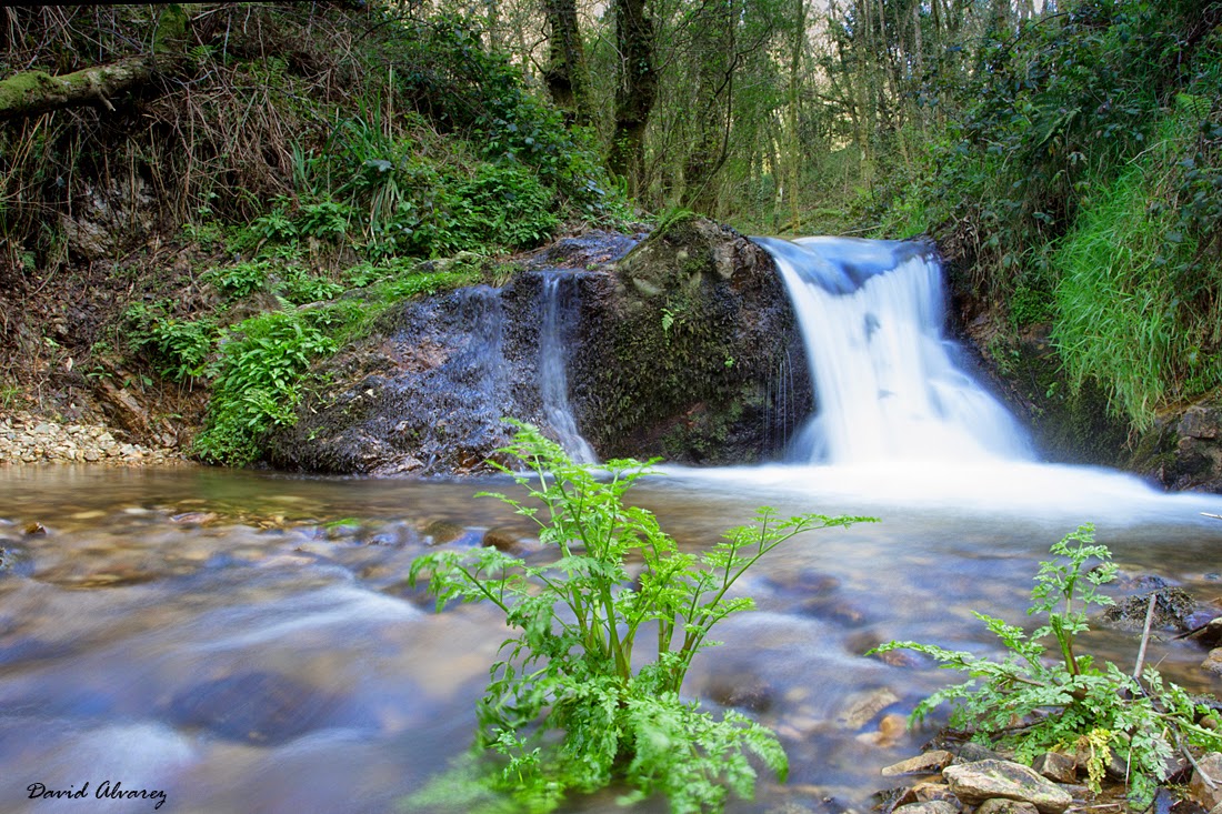Naturaleza Cantábrica: Los hermosos y desconocidos arroyos costeros