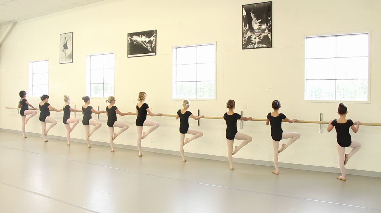 Ballet White Mountains: Ballet Training