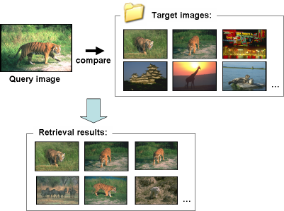 Final Year Image Processing Projects: CONTENT BASED IMAGE RETRIEVAL SCHEME