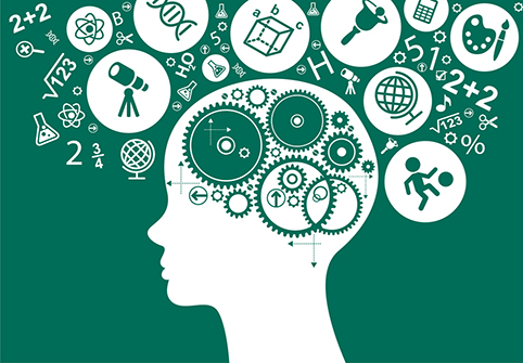 Pola Pikir Untuk Bekerja