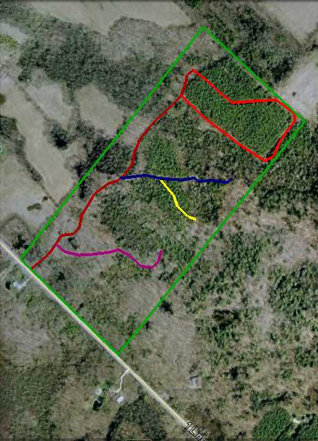 Hiking in Ontario: Conley Tract - Halton Regional Forest