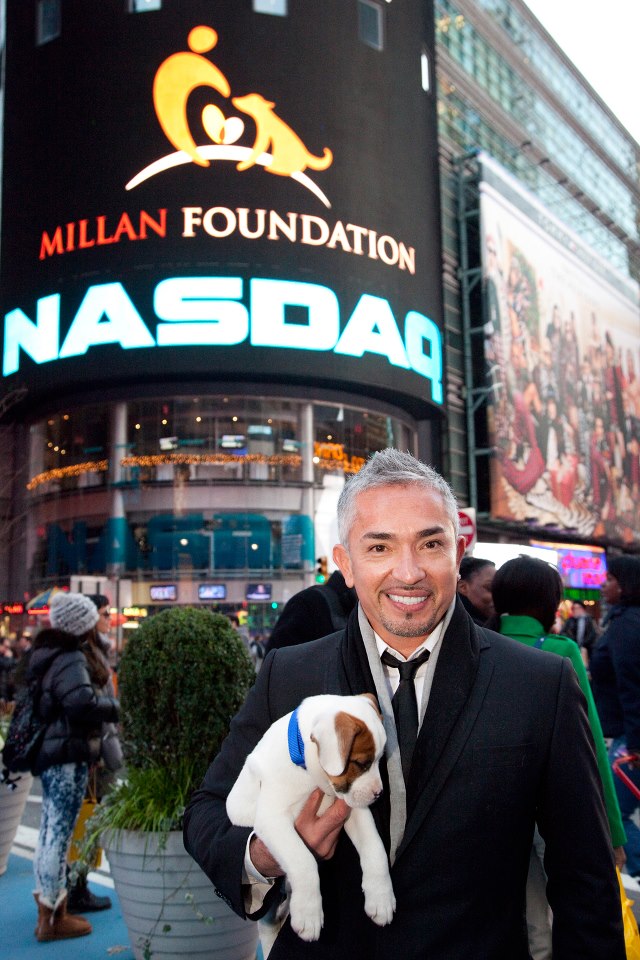 Kate West Reviews: 2012