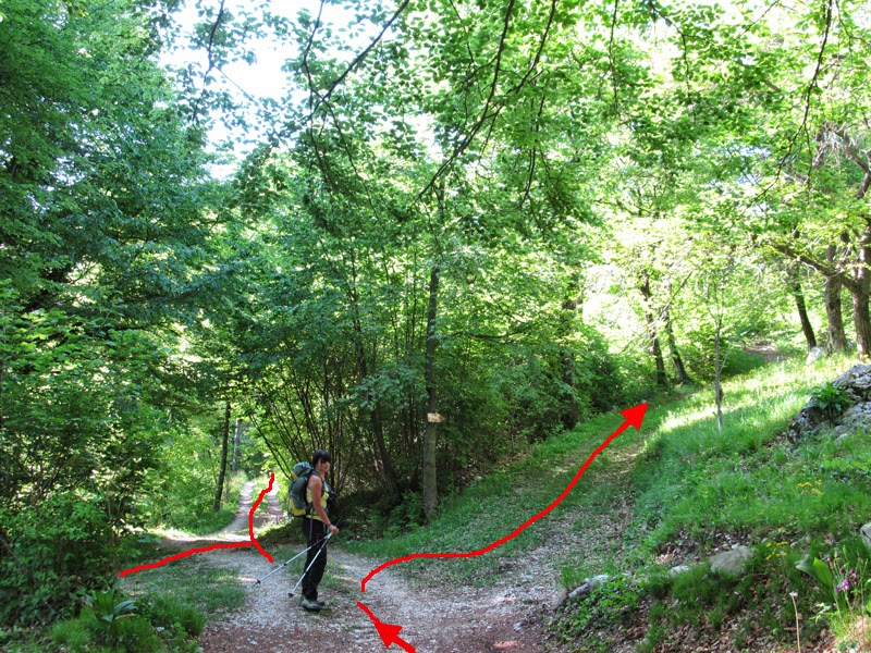 Escursionismo a 360°: Monte Pizzocolo (Sentiero alpinistico dei Tre ...