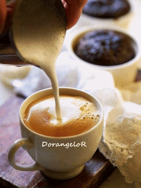 🕊 GIF`s - IMAGINATIA IN MISCARE: GIFURI CAFEA