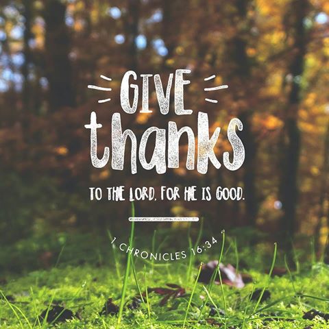 I Will Give Thanks - Digging The Word