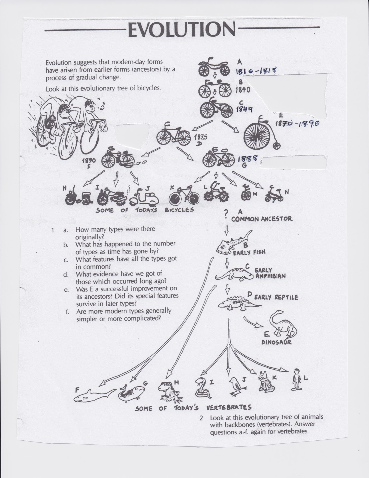 Dr. Gayden's Biology Class: Thursday, 02 November, 2017