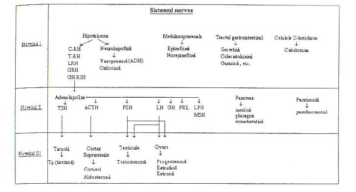AMG: Biochimie- Curs 7 – HORMONII
