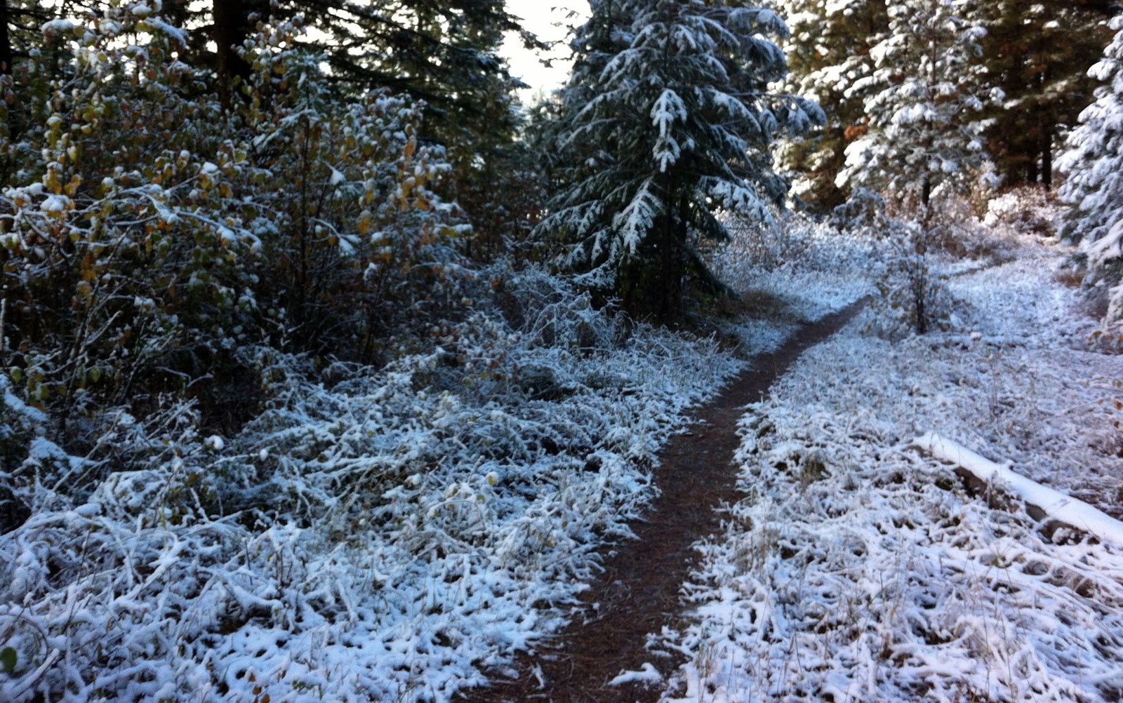 I Keep Running: Winter Running in Snow and Mud and Dark