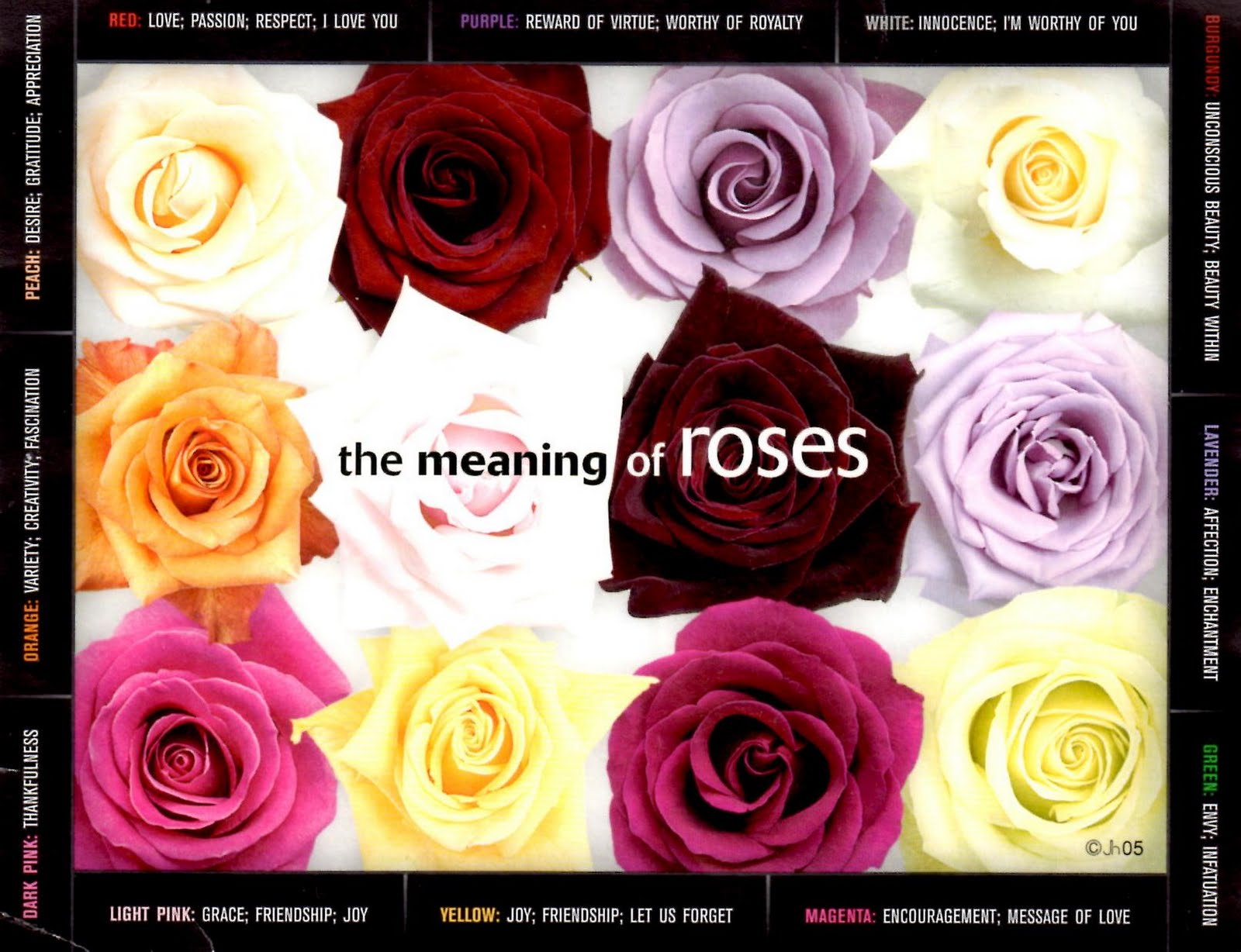 Gabbi Grace Events: The Meaning of Roses......