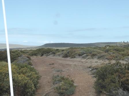 2 Geckos Travelling Australia: Mon, 20th Feb, 2017 Betty’s Beach ...
