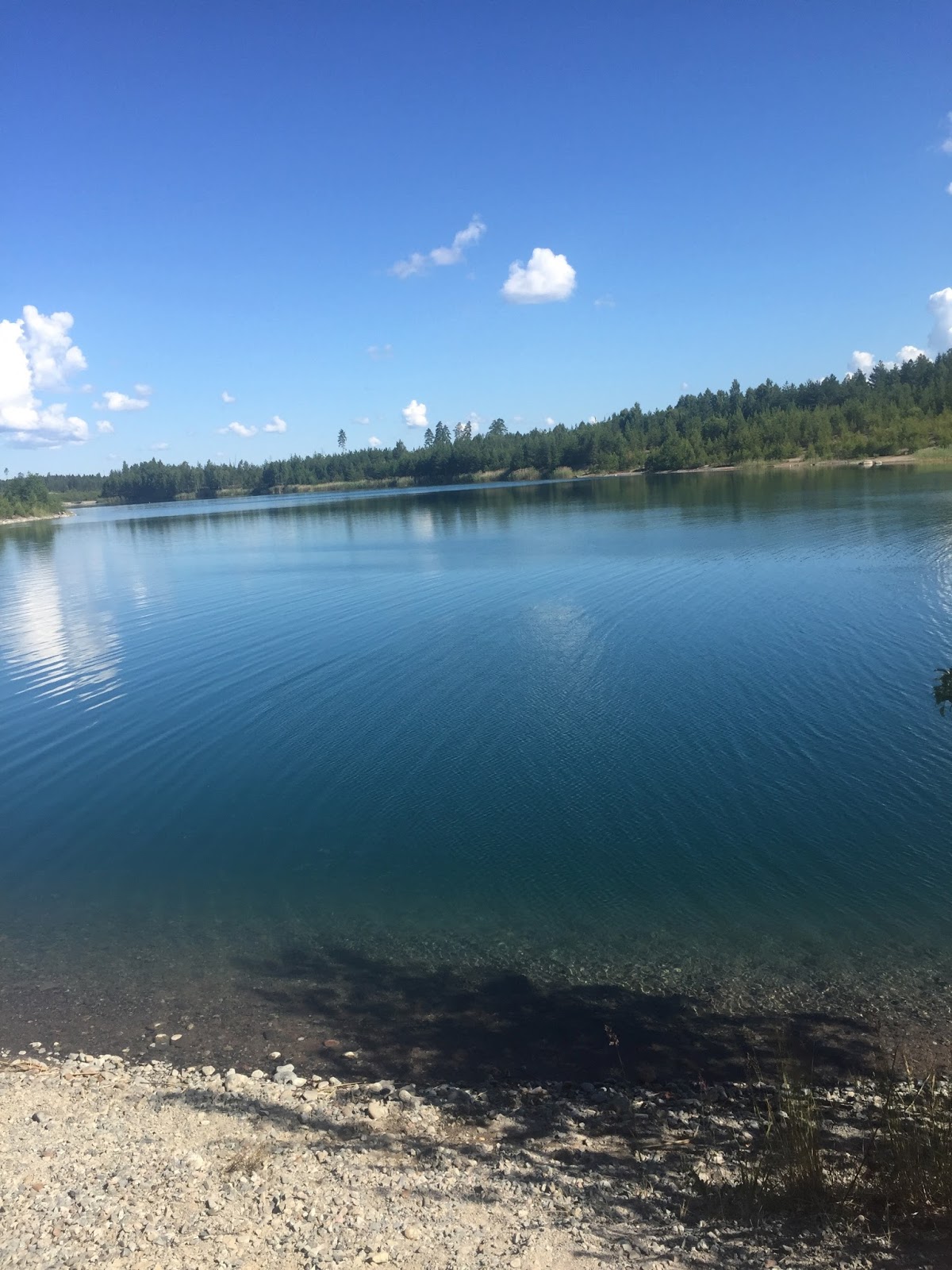 Välkommen till ShihTazz: Sol och bad